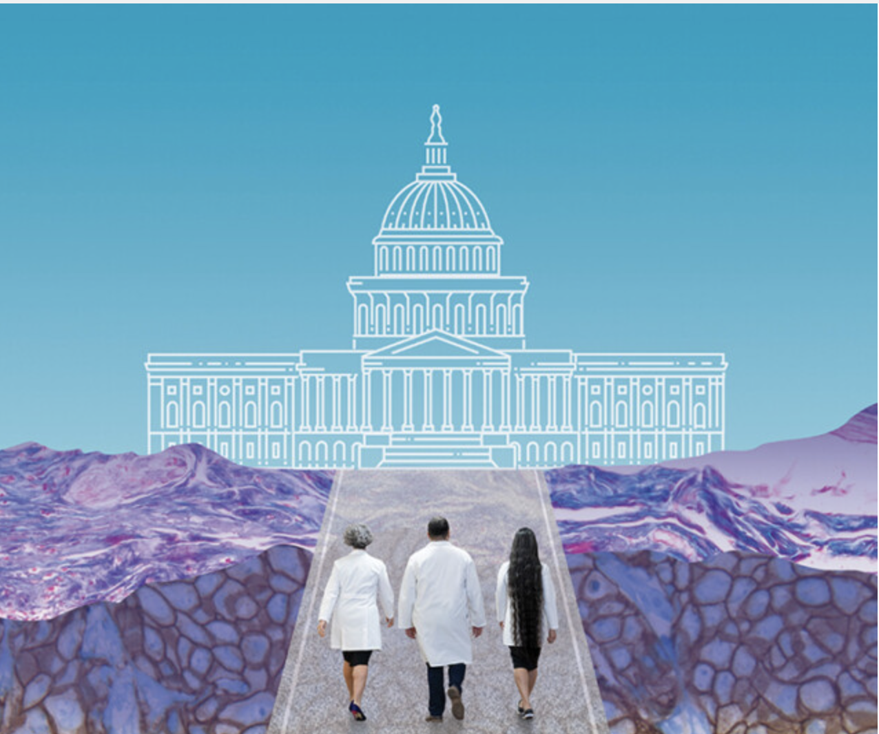 March Quality Audit: General IVF lab CAP Inspection Preparations - Art ...